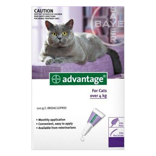 Advantage for Cats: Buy Advantage Flea Treatment for Cats Online